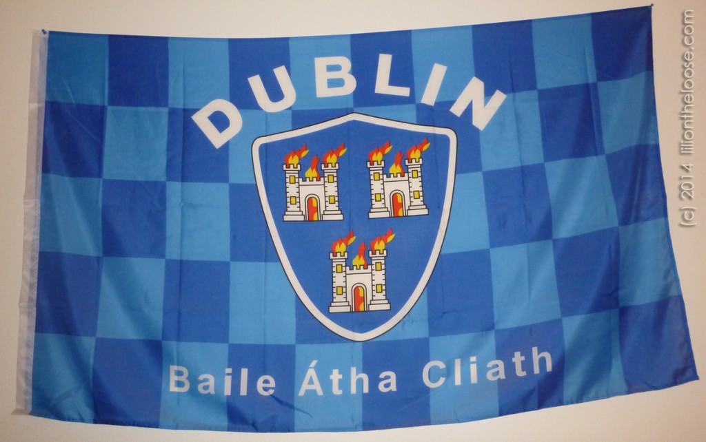 Souvenir: Dublin Flag Its Smaller on the Outside - Lili On The Loose