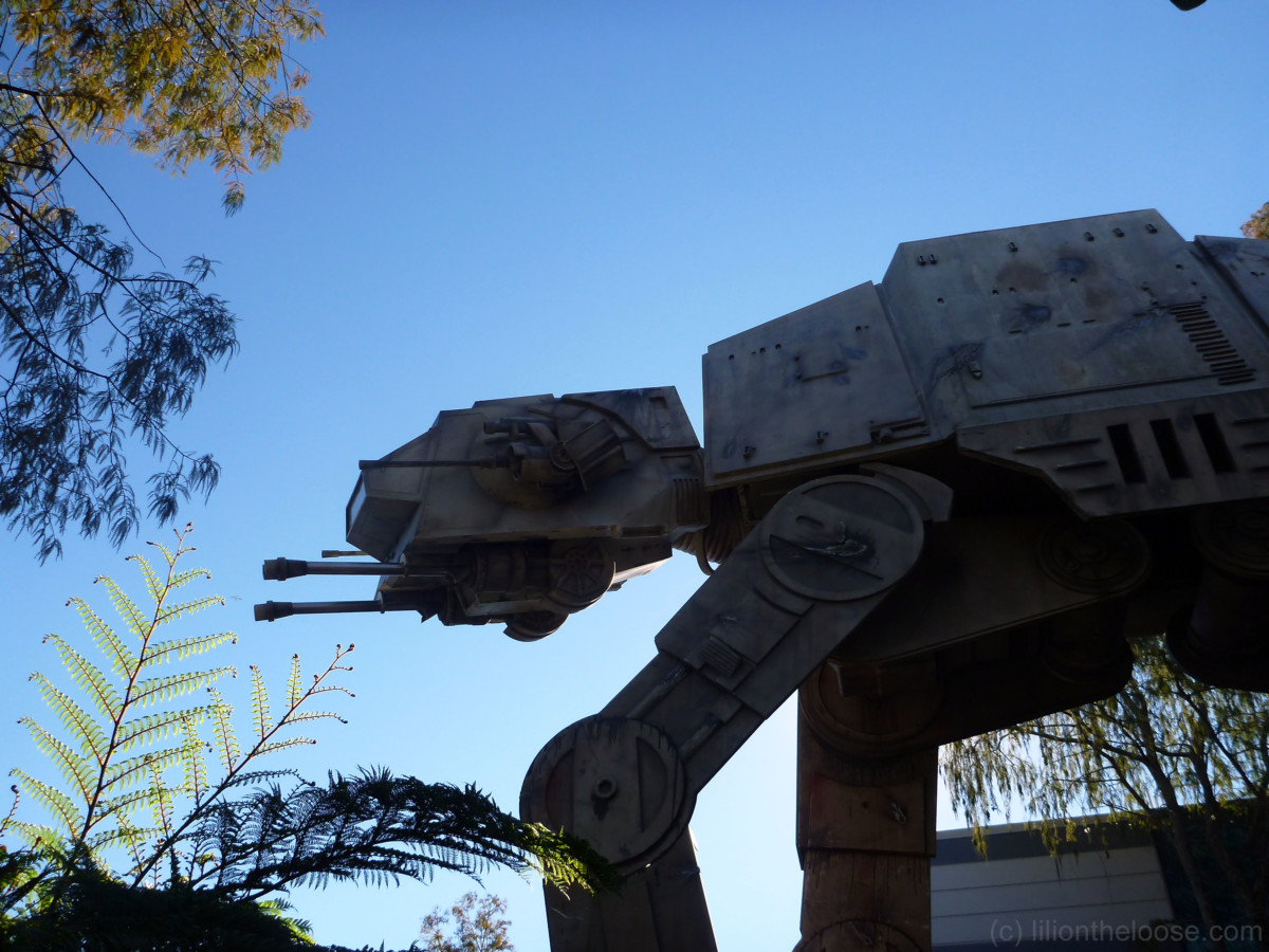 Battle of Endor - Lili on the Loose