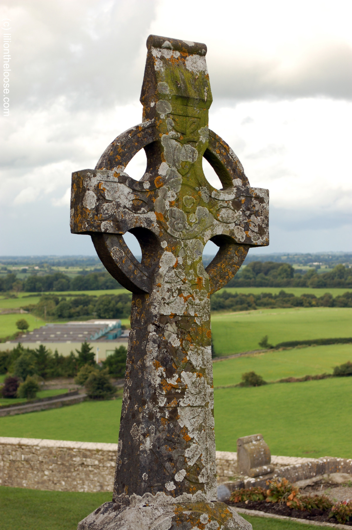 Celtic Cross of Cashel - Lili on the Loose